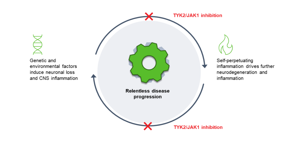 TYK2/JAK1 Dual Inhibition Platform
